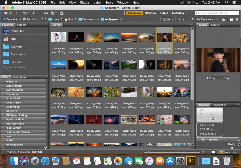 Adobe Bridge CC 2019 9.0.3 强大的图片和设计管理工具_WK网客下载